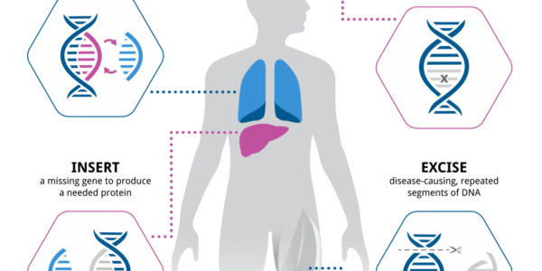 Lilly signs gene editing deal worth up to $555M with Durham’s Precision ...